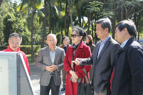 深圳市政协小组调研中心公园室外智能健身房