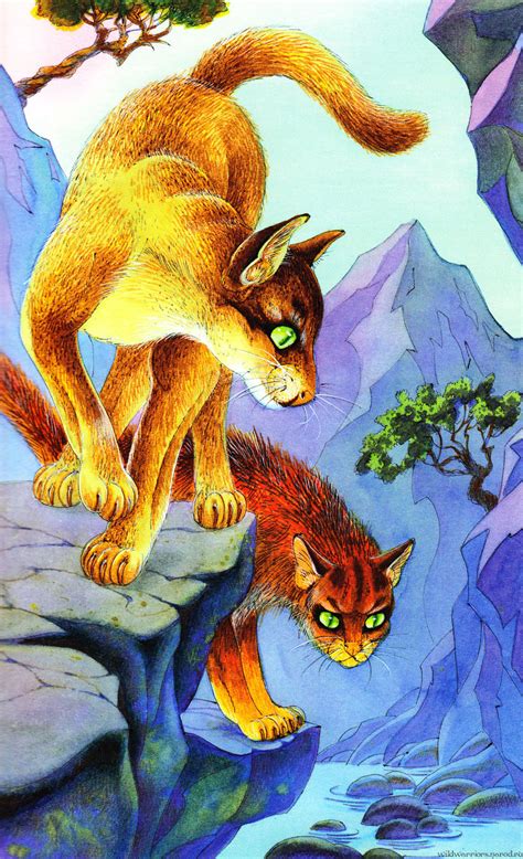 Картинки из книги Герои племен — Коты Воители Знамение Звёзд