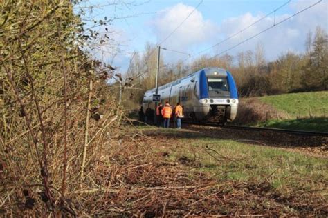 Vendée Un Homme De 42 Ans Meurt Après Avoir été Percuté Par Un Train
