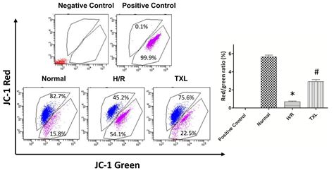 A Flow Cytometry Based Assay For Measuring Mitochondrial Membrane