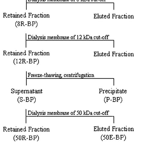 Protocol For The Extraction And Puriwcation Of The Biomass