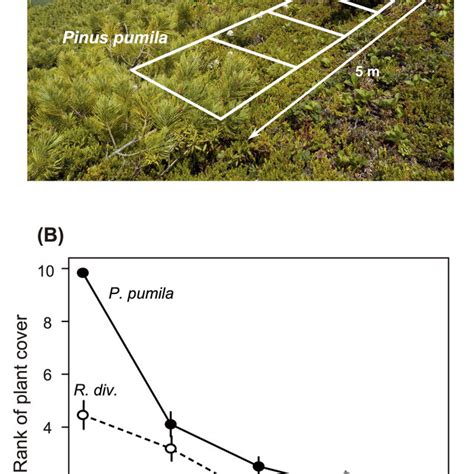 A An Example Of Belt Transect Setting Five Quadrates White Squares