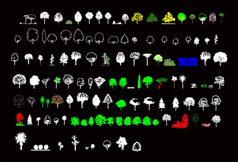 Blocks Trees DWG Elevation For AutoCAD Designs CAD