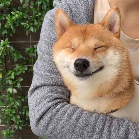 301 Moved Permanently