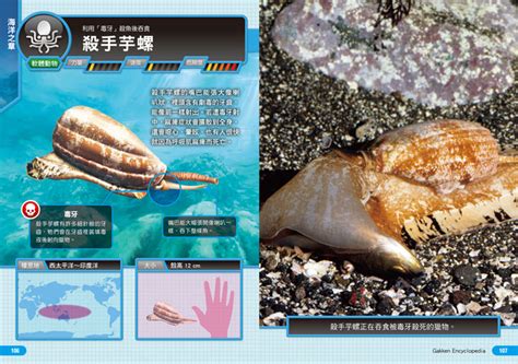 台南寶貝書房 童書教具團購百貨歡迎加入會員 西北國際 危險生物大百科 危險生物大百科