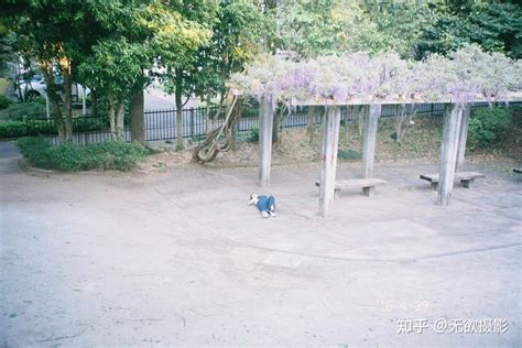 Masumi Ishida
