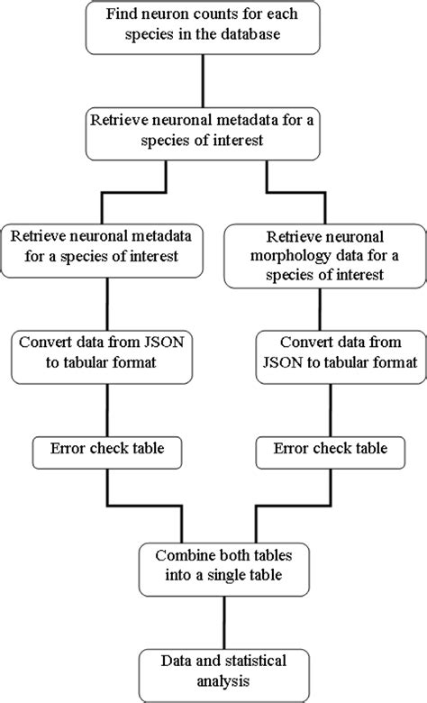 flowchart of pipeline to retrieve neuron morphology data from