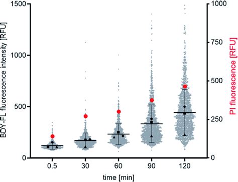 Time Dependent Fluorescence Microscopic Binding Studies With B