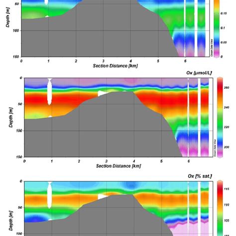 2 3 Segmented Flow Analyzer Bran Luebbe Autoanalyzer Iii For