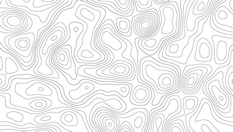 Abstract Pattern With Lines Background Of The Topographic Map