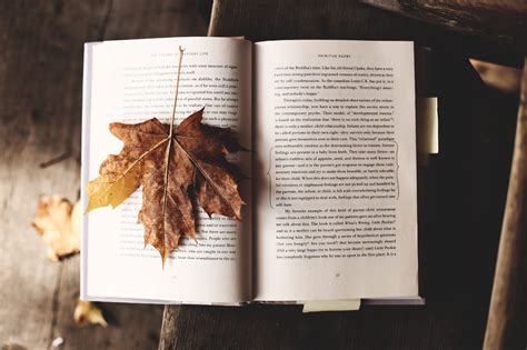 Autumn Reading Wallpapers Wallpaper Cave