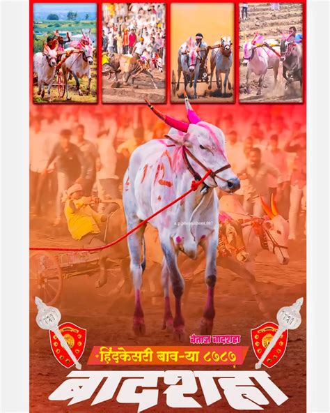 Maharashtra King Ⓜ️🅰️ ♓️⛎®1⃣0⃣0⃣1⃣ Mumbaiexpressmathur1001