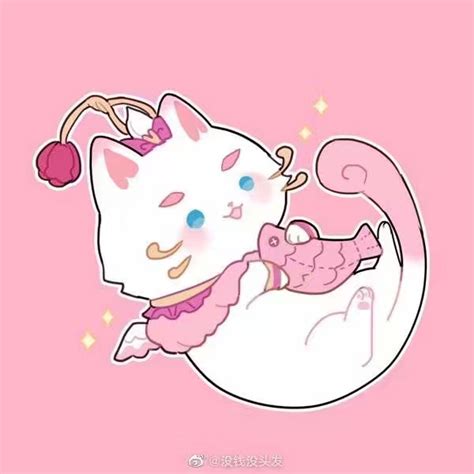 魔法猫咪 悠米 堆糖，美图壁纸兴趣社区