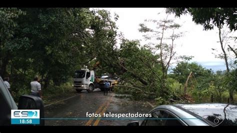 Temporal Com Ventos Fortes Destelha Casas E Derruba árvores Em Aracruz
