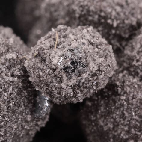 Hematite Pseudomorph After Almandine Garnet Rare Thomas Range Juab Co Utah Usa