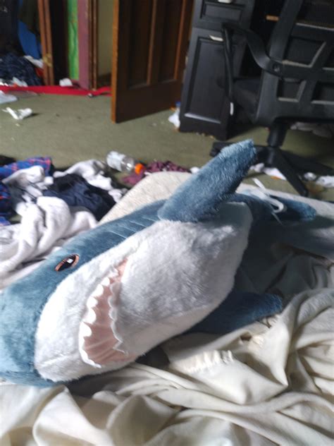 Is it just me or are blahajs a underrated stuff animal to sleep with : r/BLAHAJ