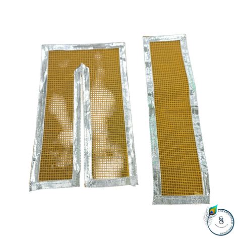 Chira Checks Shyamshreeji Shringar