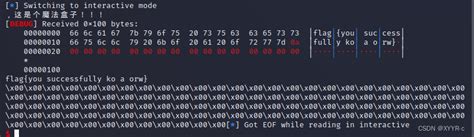 入门级ORW利用ROP链绕过NX保护和沙箱 CSDN博客