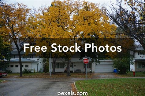 Leaf Architecture Photos Download The Best Free Leaf Architecture