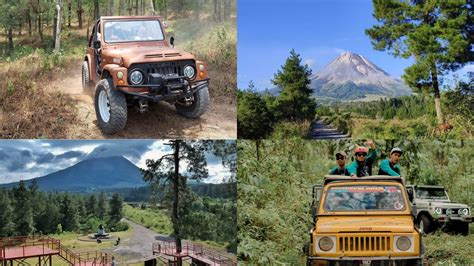 Hutan Pinus Disekitar Gunung Merapi Jurang Jero Magelang Jadi Wisata
