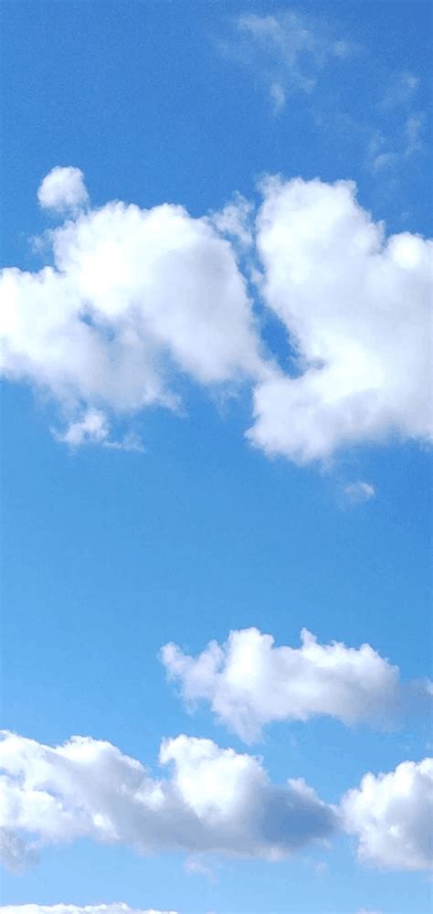 あの夏の思い出（タイムカプセル企画）赤にのみこまれた夏の夕｜べじさん