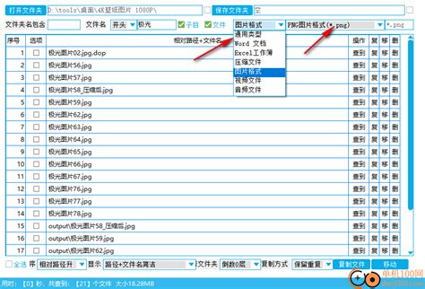 文件分类整理工具吾爱专版下载 文件分类整理工具v249 免费版 单机100网