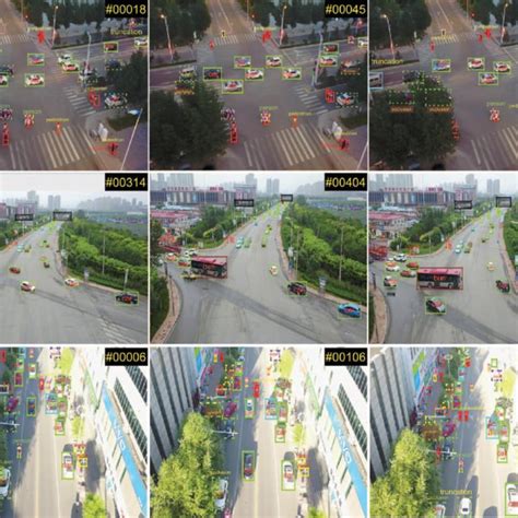 some annotated example frames of video object detection the bounding
