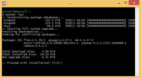 MSYS Features Alternatives Analysis