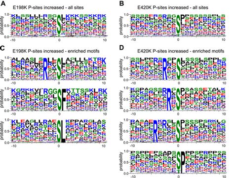 Quantitative Proteomics And Phosphoproteomics Of PP2A PPP2R5D Variants Reveal Deregulation Of