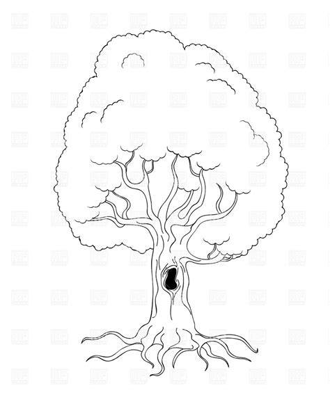 Tree Trunk Vector At GetDrawings Free Download