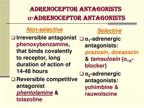 Ppt Adrenoceptor Antagonists α Adrenoceptor Antagonists Powerpoint Presentation Id4247547