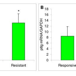 Pituitary ERα in human responsive and resistant macroprolactinomas