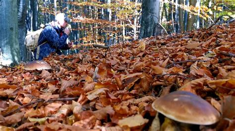 Стейк з білих грибів Приготування в горах Youtube