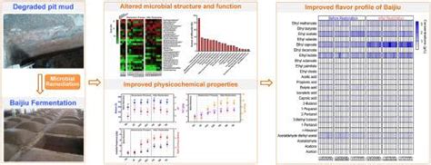 Bioremediation Of Degraded Pit Mud By Indigenous Microbes For Baijiu