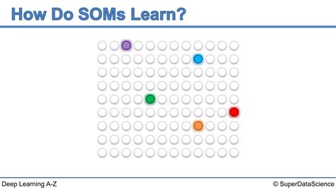Deep Learning A Z™ Self Organizing Maps Som How Do Soms Learn