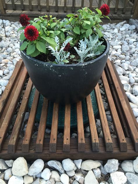 Septic Cover Ideas — Marlin Septic Tank Cleaning Inspection