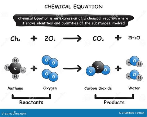 Chemical Equation Infographic Diagram Stock Vector Illustration Of