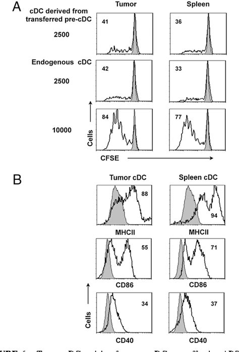 Figure 3 From Tumorsconventional Dendritic Cell Precursors In