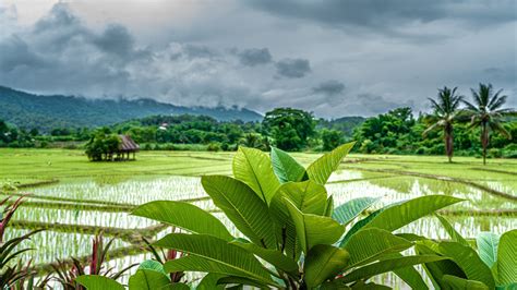 Explanation Of The Importance Of Water Conservation In Agriculture