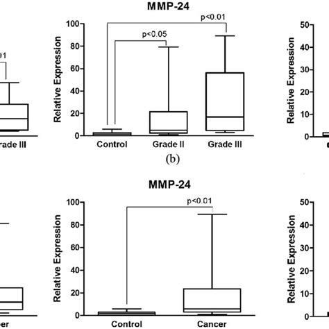 The Expression Of Membrane Associated MMPs In Breast Cancer And In Download Scientific Diagram