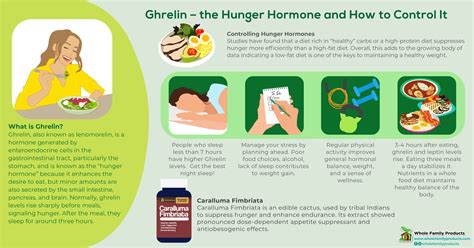 Ghrelin And Its Role And Ways To Control Its Production A Complete Guide