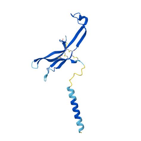 Rcsb Pdb Af Afp01216f1 Computed Structure Model Of Glycoprotein