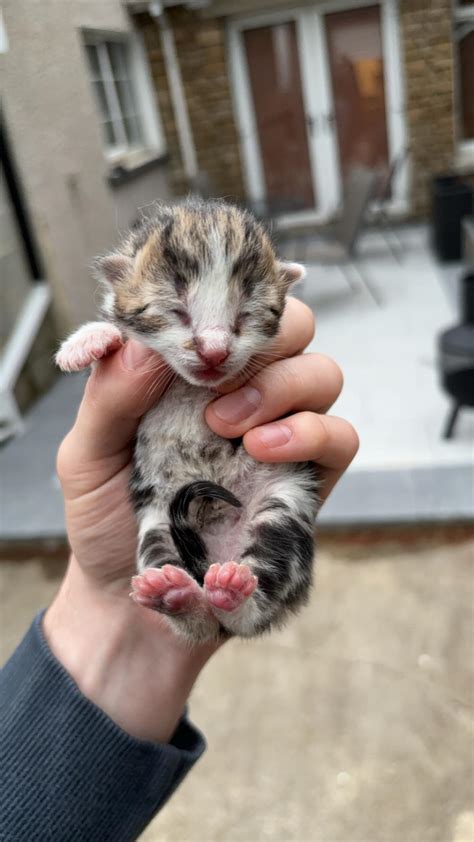 What Should I Name Lil Jit R Teenagers