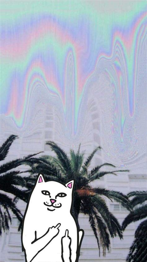 Middle Finger Wallpaper Ixpap