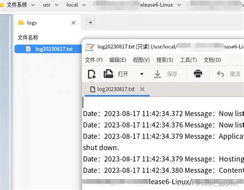 银河麒麟服务器v10 Sp1 Net60 Serilog 运行时不创建日志文件iis 银河麒麟 Csdn博客