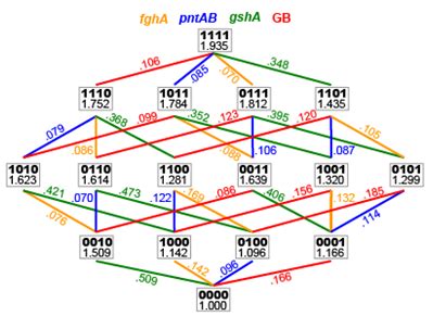 Charts Best Visualization For Combinations User Experience Stack Exchange