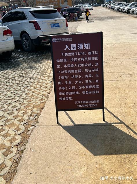 九峰森林动物园游记 知乎
