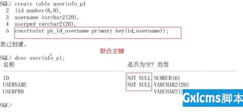 Oracle如何禁用主键约束【oracle】约束之主键约束 Csdn博客