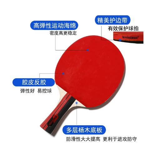 子甄彣璟 初學者 雙拍 乒乓球拍 練習長柄一組2支 橫拍 直拍 長柄橫拍 桌球 球拍 乒乓球 對拍套裝 所有商品 子甄彣璟拳擊用品