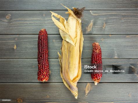 3 개의 드라이 옥수수 Cobs 플랫 은 고대 종자 옥수수 3 개 나무 테이블에 생물학적 농업 옥수수 소박한 코브 성분 세대에서